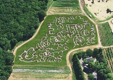 Visit Community Farms | Connors Farm | Motherly.Life